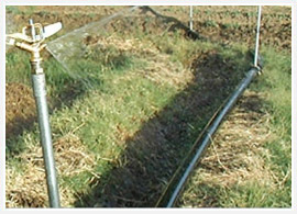 TPL Plastech Limited